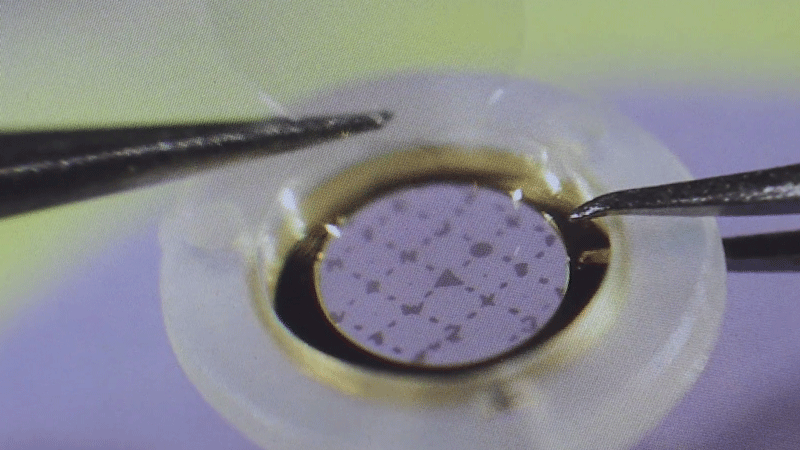 Cryocapcell innove dans la la biologie cellulaire - Arts & Métiers TV